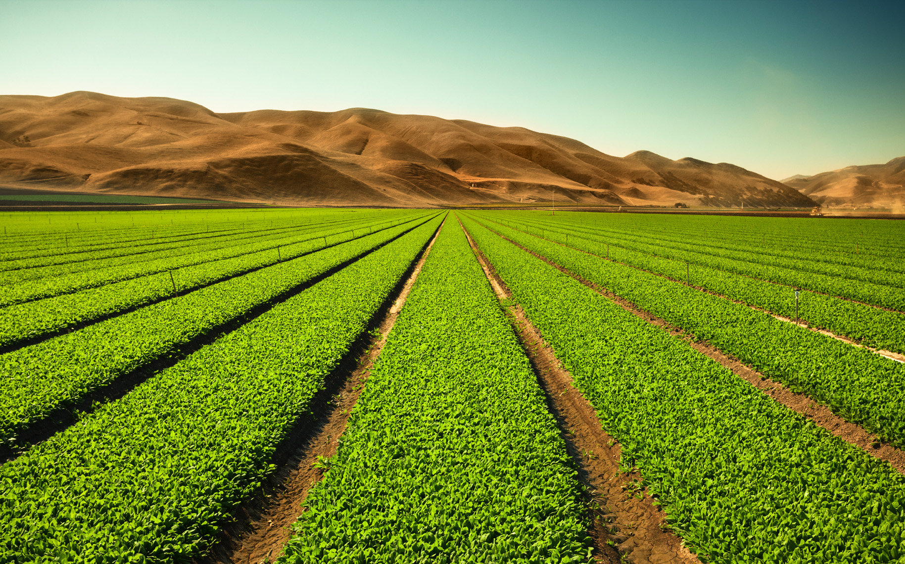 The Mendrin Group | Agriculture Brokerage