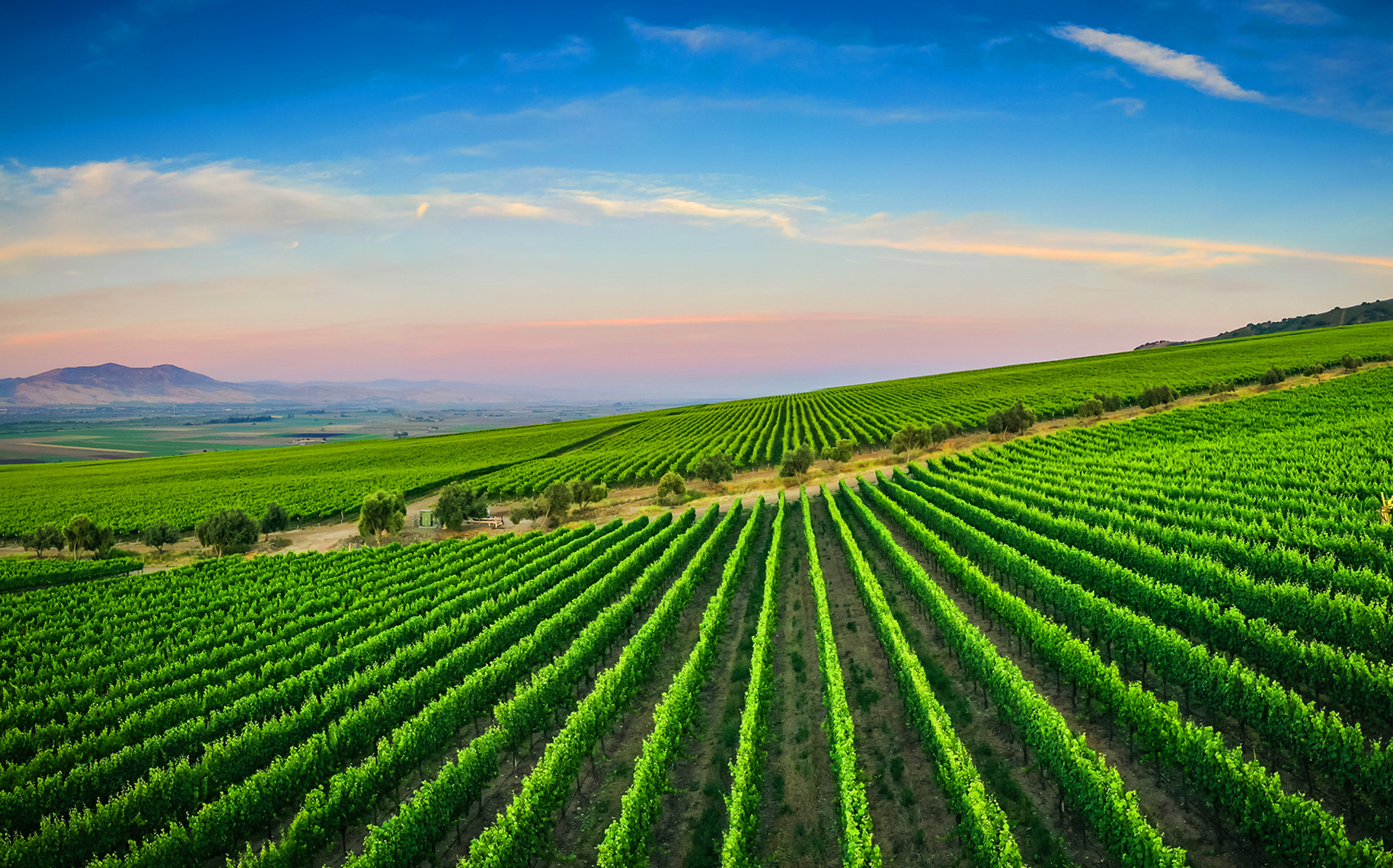 The Mendrin Group | Agriculture Brokerage