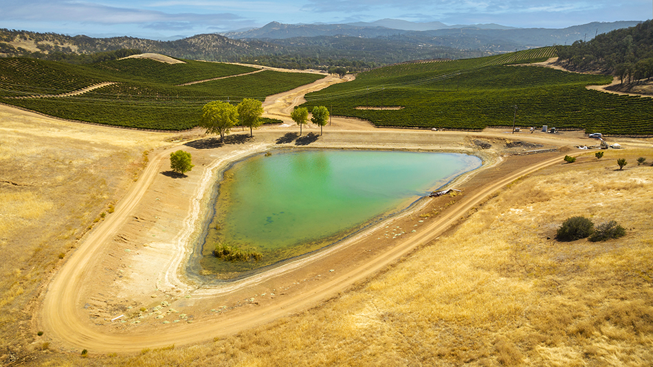 Diamond Ridge Vineyards - Mendrins